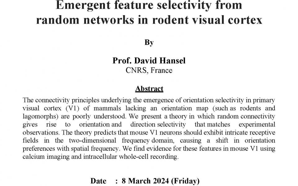 Department of Mathematics - Seminar on Applied Mathematics - Emergent feature selectivity from ...